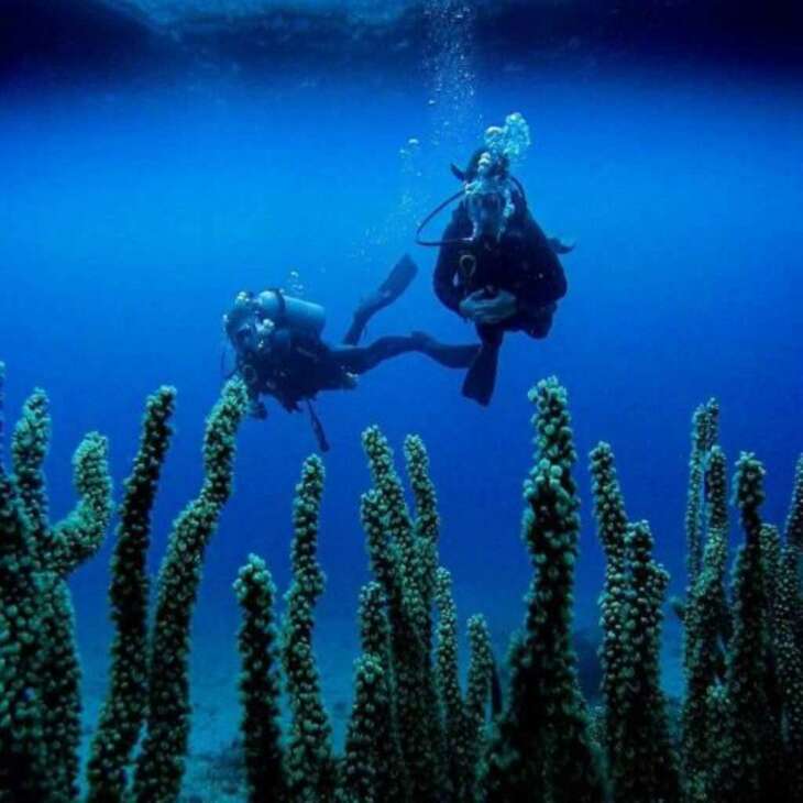 About Us - Poseidon-Dive-Center Diving-Tayrona-Park-Colombia